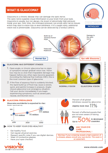 Ocular Pathologies and Visual Defects